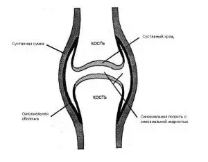 Estructura típica d'sustava