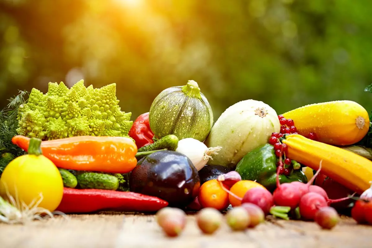 90% Bitki yetişdirilən necə qənaət etmək olar? Beets, balqabaq, turp, pomidor