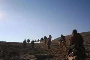 Deżert Negev. Camel Caravan.