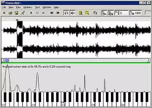 Transcribe Program vindue!