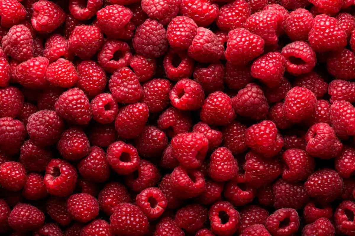 Dessertên havînê dikarin ji raspberry-ê werin pijandin?
