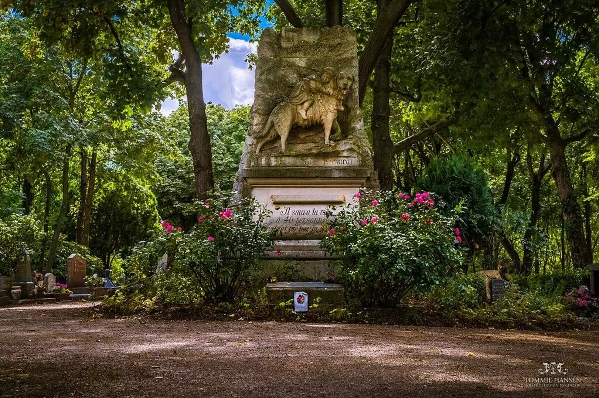 Perché Senbernar Barry ha premiato il monumento?