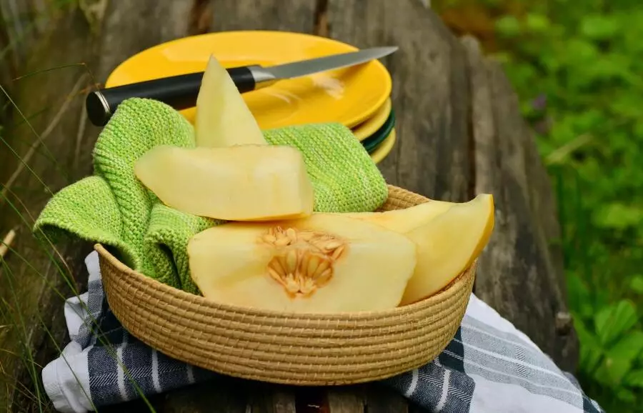 Hoe om 'n stukkie somer in die stoorkamer weg te steek? Melon - kies, ons gebruik, wees bly!