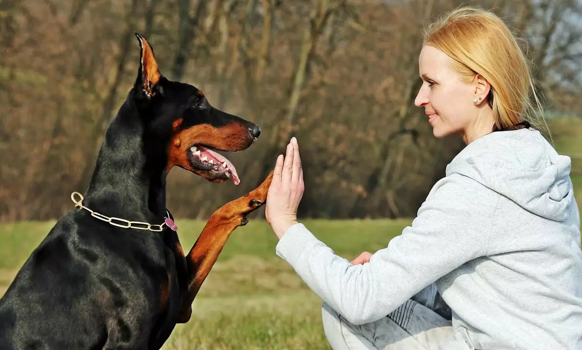 Was ist nützlich, Joggen?