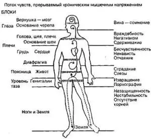 Биоэнергетикалық талдау: мәні неде және мұның бәрі қалай басталды? 12865_2