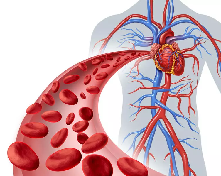 Kaip sustiprinti laivus? Geresnė prevencija nei brangus gydymas