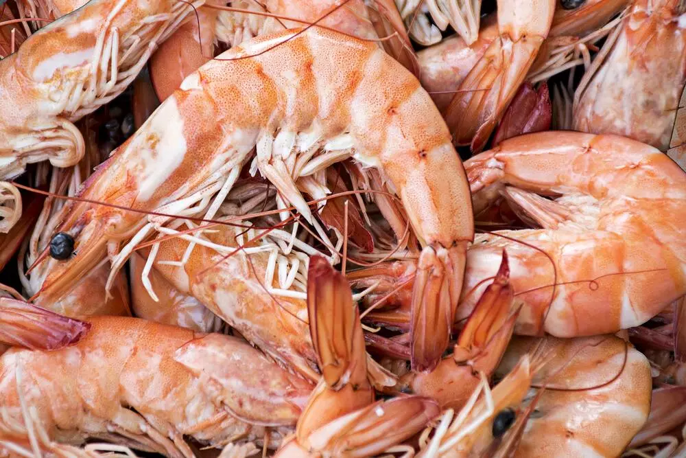 Ni ikihe kintu cyingirakamaro kumenya kuri shrimp?