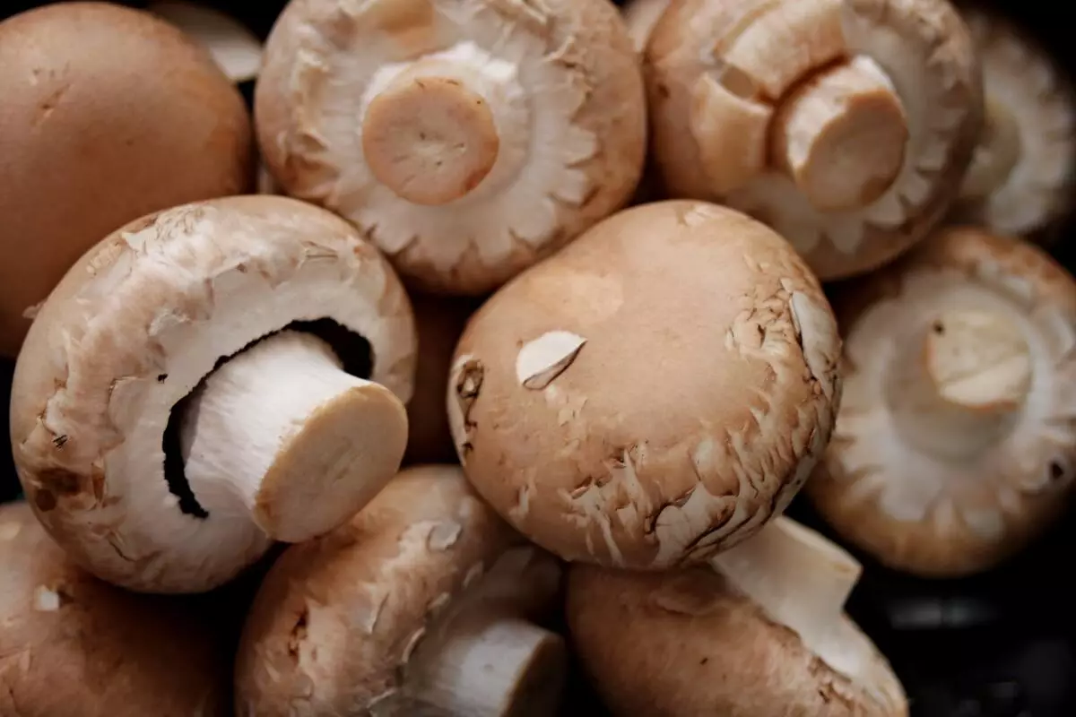 Ukupheka njani izidlo ezimnandi ezivela kuma-mushroom? I-Venezuelan Hushrooms kunye ne-surters ye-surnsed