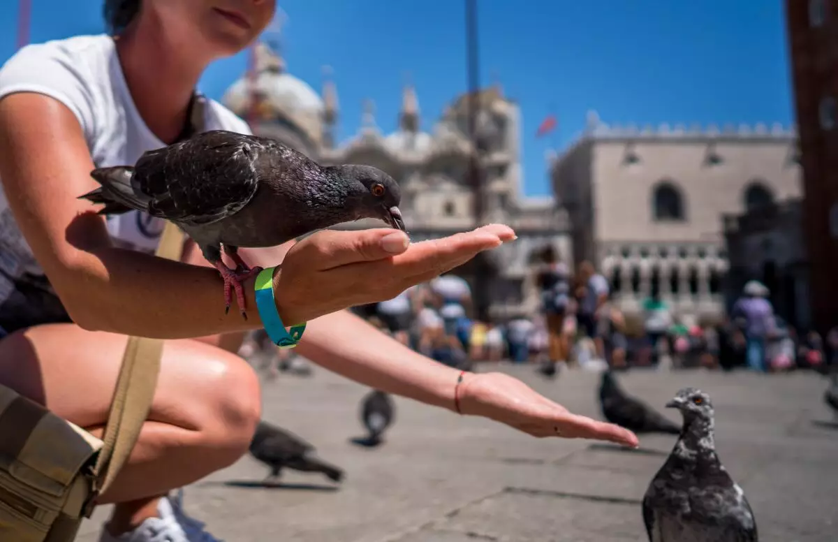 Var är de märkligaste böterna för turister?