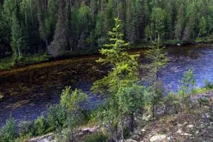 Ono što je egzotična ruskog North? Priča o jednom putovanju. Šumama i rijekama.