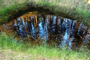 Какво е екзотикът на руския север? Историята на едно пътуване. Lake гмуркане. 14039_2