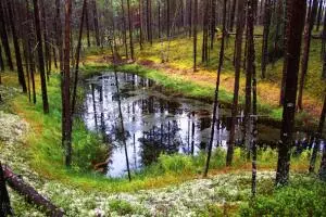 Mi az egzotikus az orosz észak? Egy utazás története. Tó búvárkodás. 14039_3