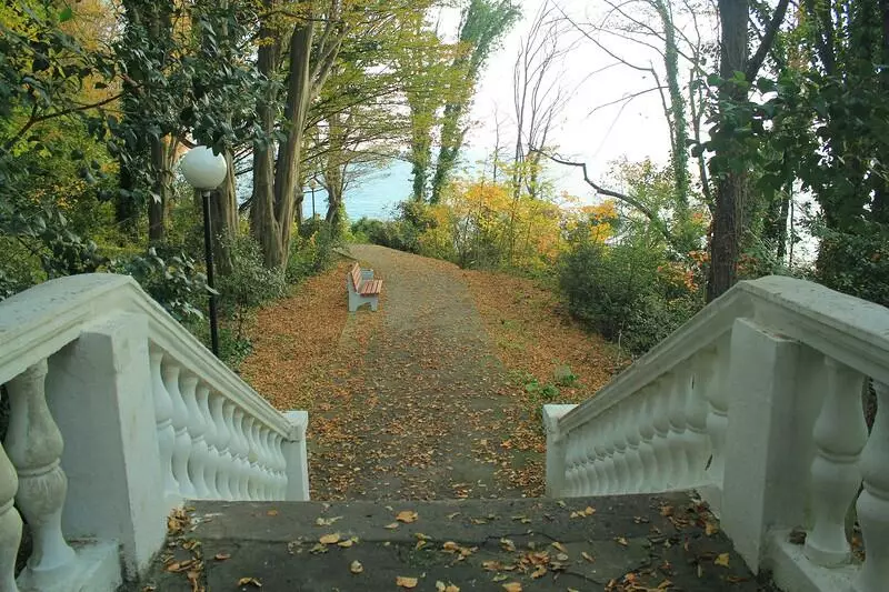 Wat is interessant om Sochi te wees? Forest Park