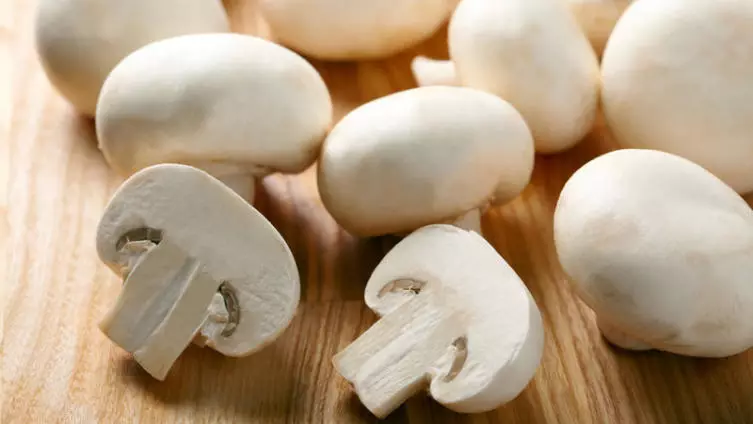 Champignons के साथ संवाद कैसे करें?