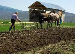 Kahverengi ve gri. Bu renklerin sembolizminin kökenleri nereye gidiyor? 14428_2