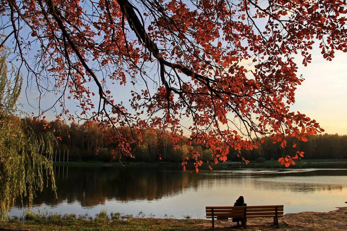 On podrà relaxar-se a Moscou? estanys Putyaevskie