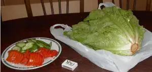 Right - salad