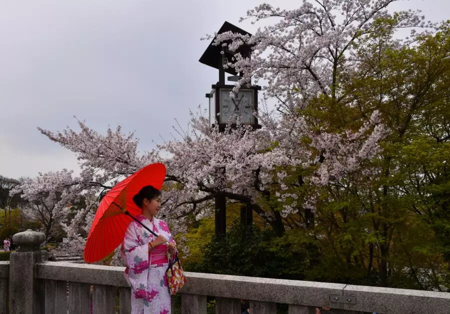 ¿Por qué los haiku japoneses en Rusia? Filosofía, Comunicación, Negocios.