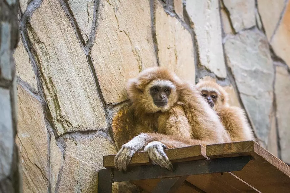 Kako vesel, da preživim svoj delovni dan? Pet načinov, da ne izgubite srca