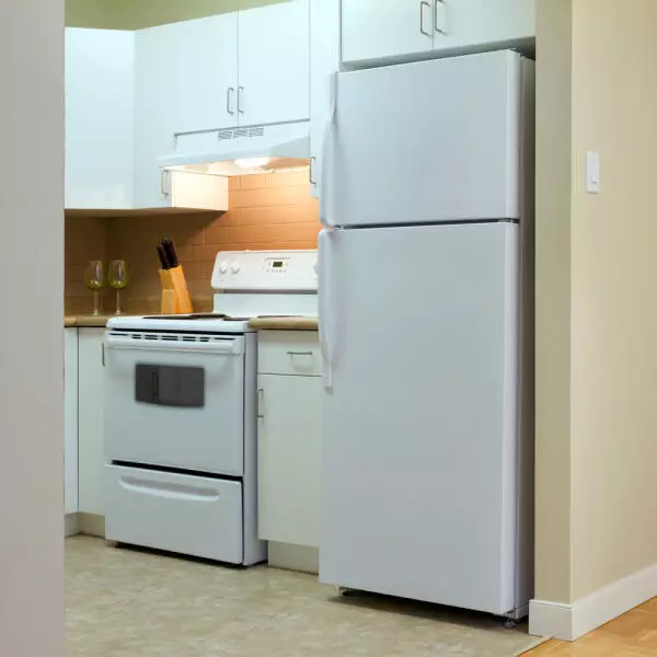 Kjøper et kjøleskap: Hvordan gjøre det riktige valget?