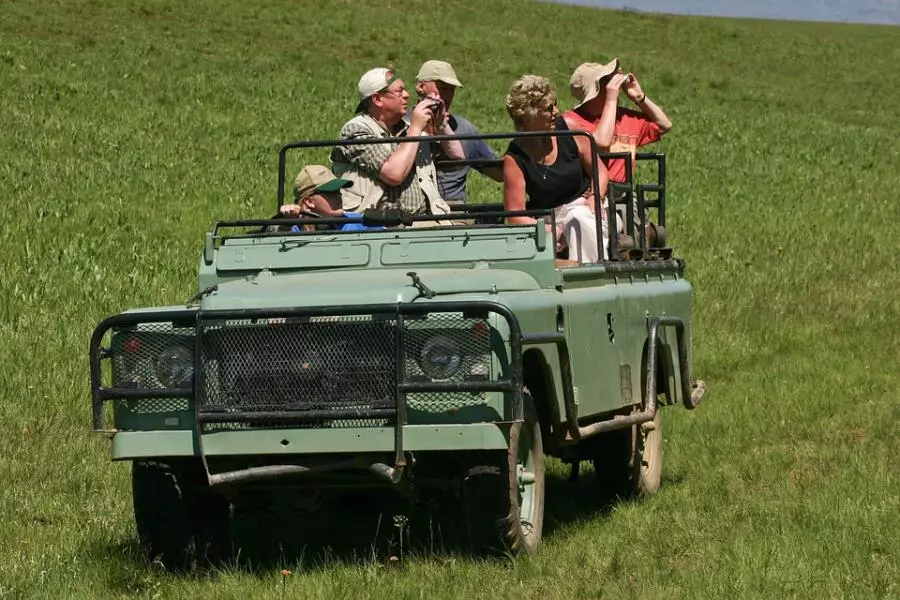 Cum să nu vă distrugeți vacanța? Riscurile de odihnă organizată