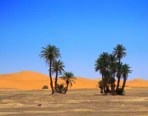 Cloudless sky Morocco