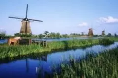 Và bạn không biết gì về Hà Lan? 17454_1
