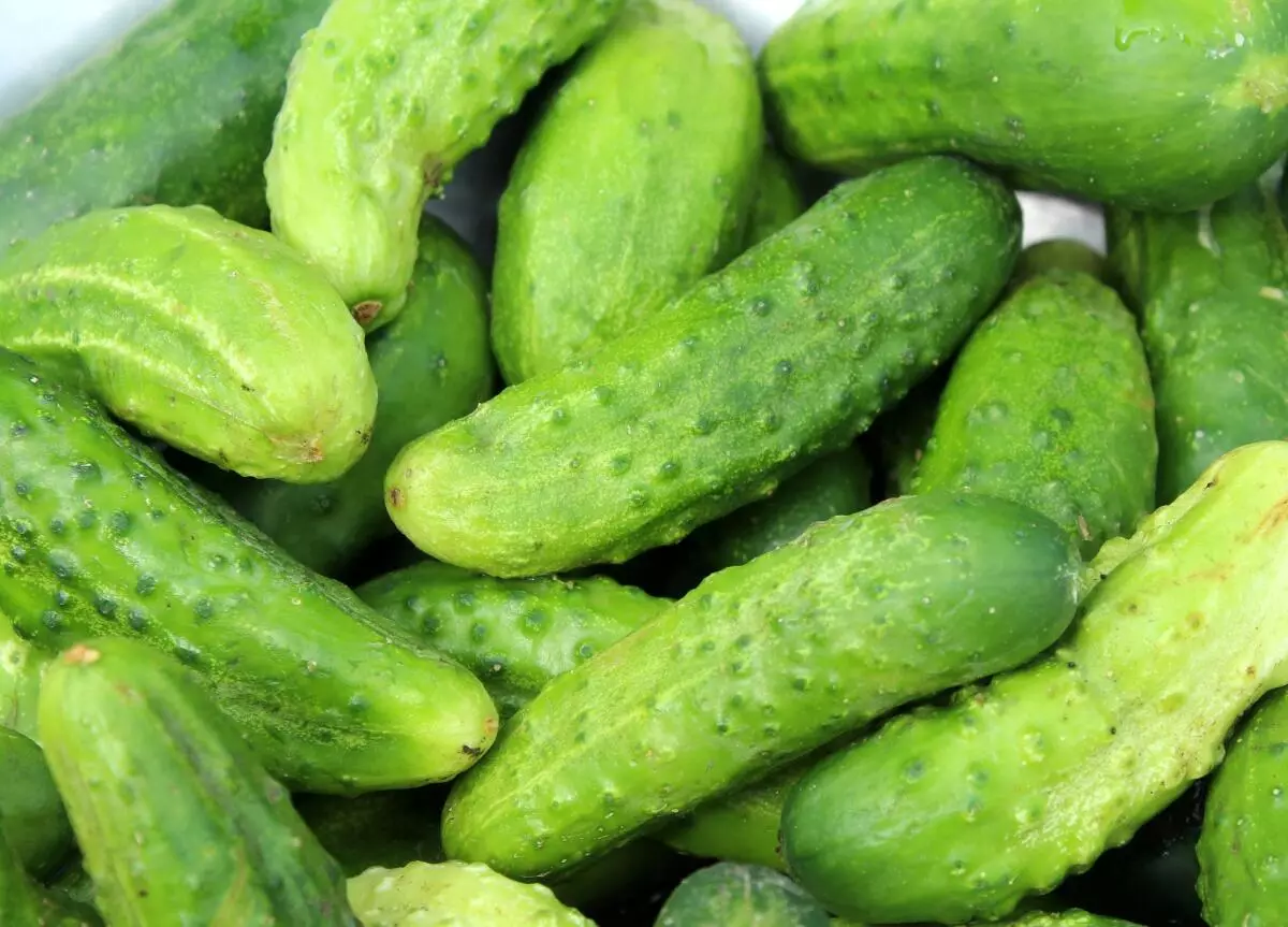 Čo je nezvyčajné pripraviť sa z uhoriek? Cucumber Jam!