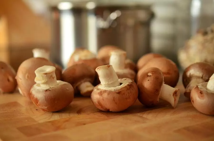 Wat kin wurde taret op champignons? Diel 1