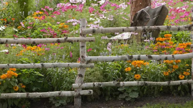 Hoe maak je een tuin in de landelijke stijl?