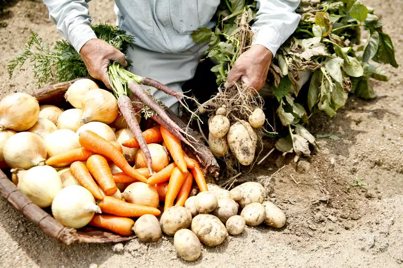 के यो तपाईंको गर्मी कुटीर मा अरू कसैको सकारात्मक अनुभव प्रतिलिपि गर्न लायक छ?