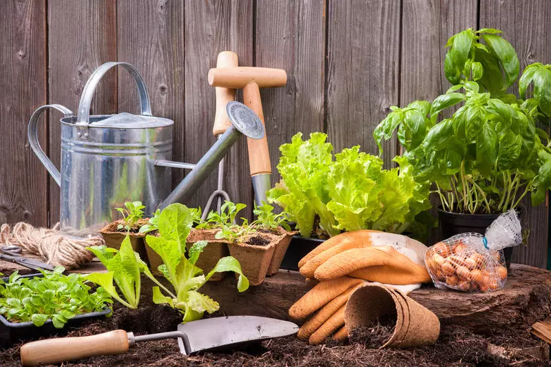 ¿Hay chicas de palets? Innovación en el jardín.