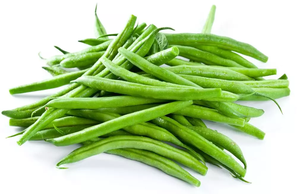 Anong kapaki-pakinabang na asparagus beans at kung paano palaguin ito?