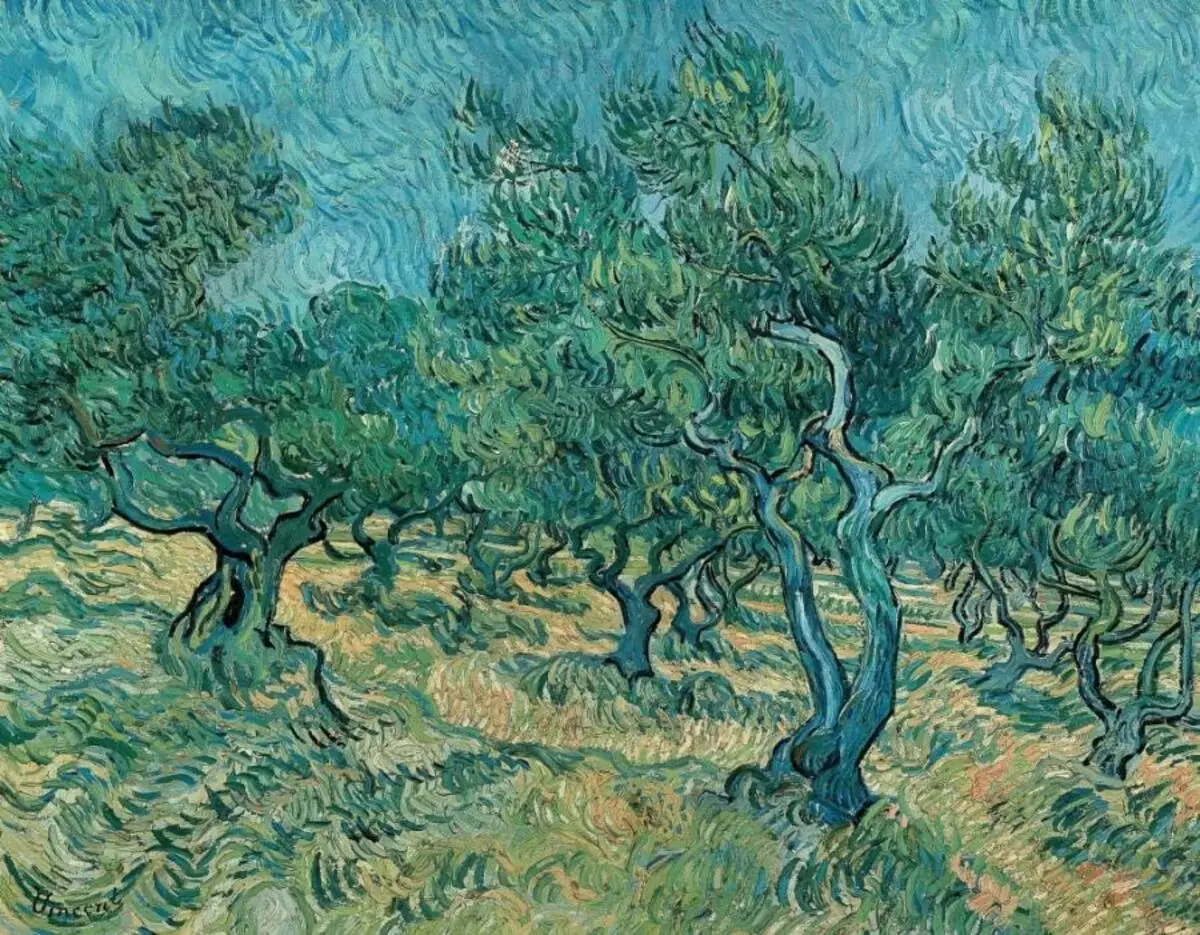 Vincent van Gogh，橄欖樹，1889年