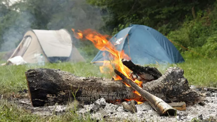 Hoe om 'n nag in die bos te kry?