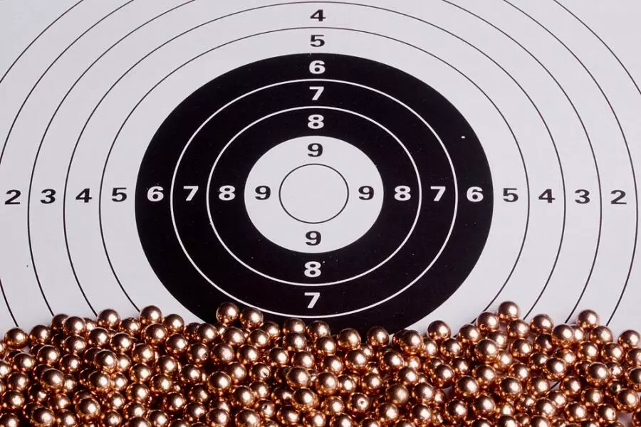 Plinking: Is it just an exercise in shooting?