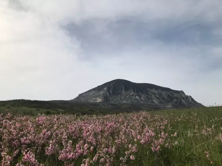 Stavropol natiora. Nahoana ny bibilava tendrombohitra no mitondra anarana toy izany?