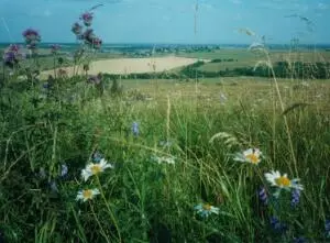 Meadow is nie erger as in Normandië