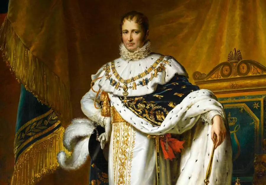 Ce state au fost fratele vârstnic al lui Napoleon și ce a ieșit din ea? 24864_1