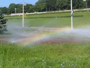 Pelouse d'arrosage du matin. Arc-en-ciel.