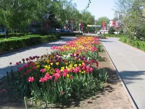 Allée à fleurs.