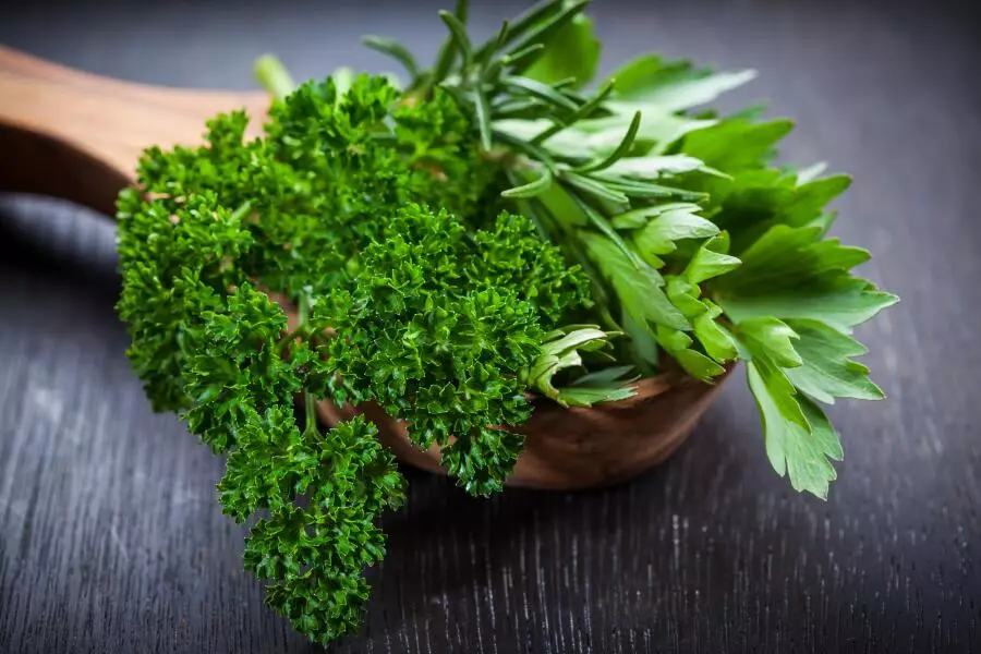 How are fragrant herbs used in cooking?