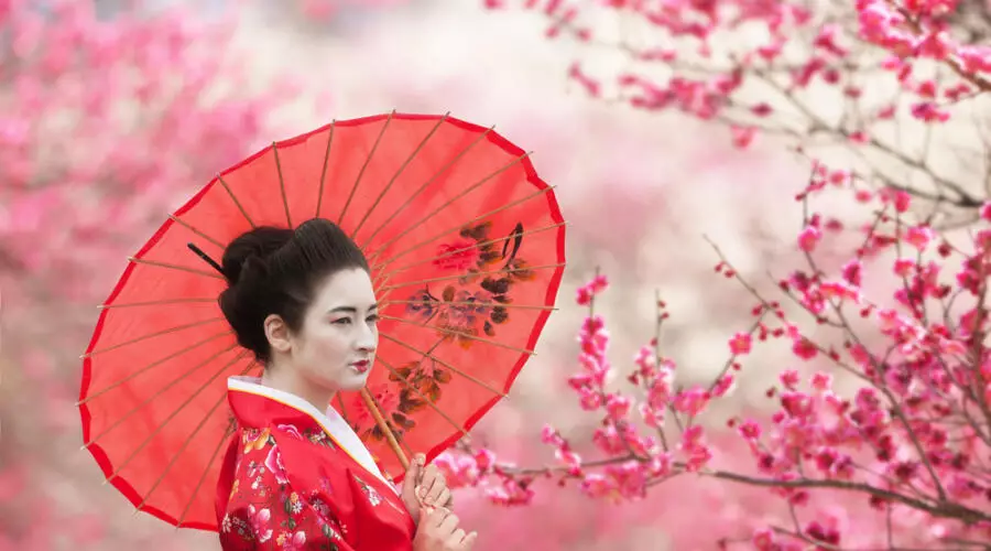 Japanese geisha. Kedu ndị ha bụ?