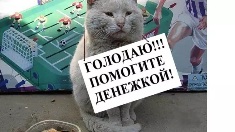 Cat-Poproshaika.