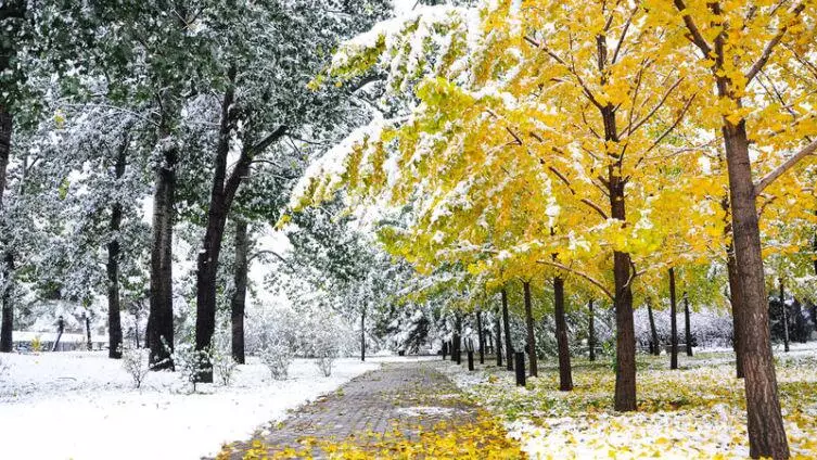 Entre el otoño y el invierno: Lo que es interesante en esta ocasión? 28066_1