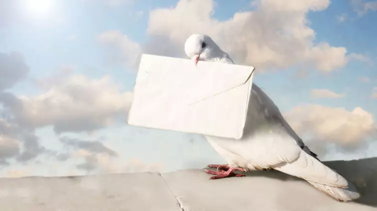 Ano ang pigeon mail?