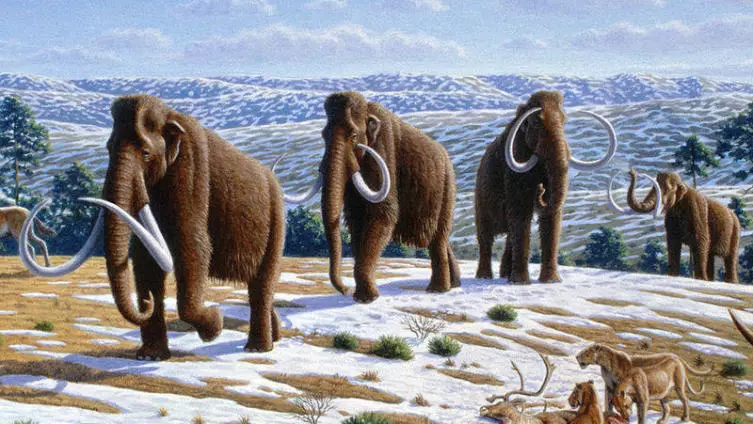 When extinct mammoths?