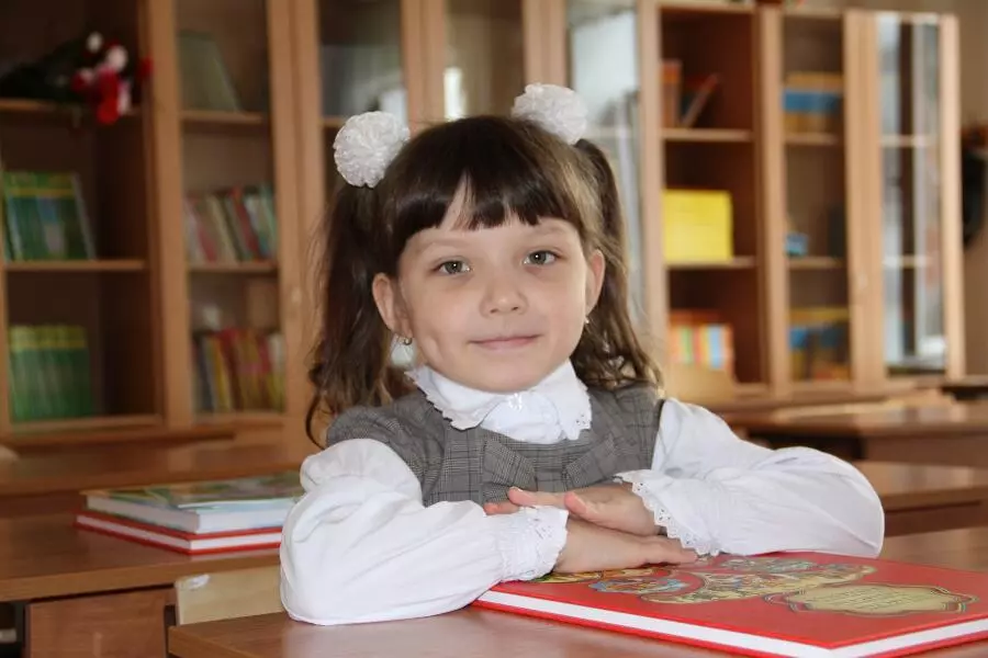 სად არის რუსეთის განათლების სისუსტეები?