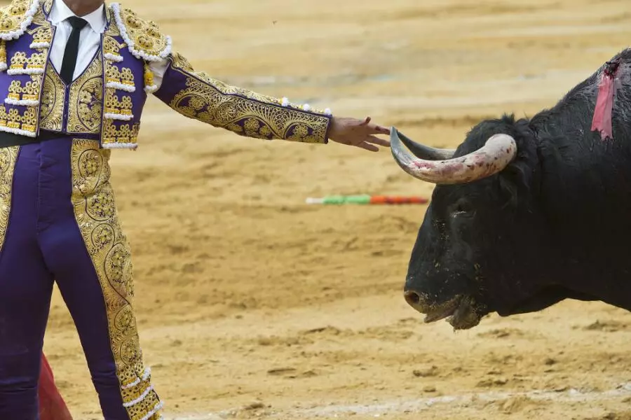 Aling lungsod ng Espanyol ang unang tumanggi sa corrida, o kung ano ang Tavromachiya? Bahagi 2, Modern