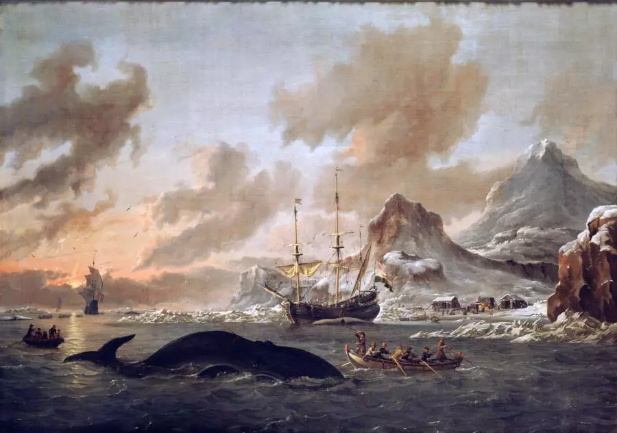 Comment la baleine a-t-elle été chassée dans les vieux jours? Partie 1 32138_1